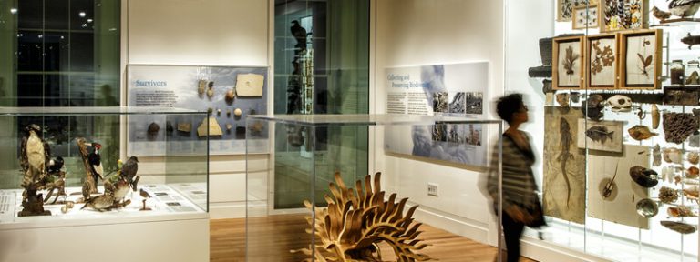 Staten Island Museum – Responsible New York
